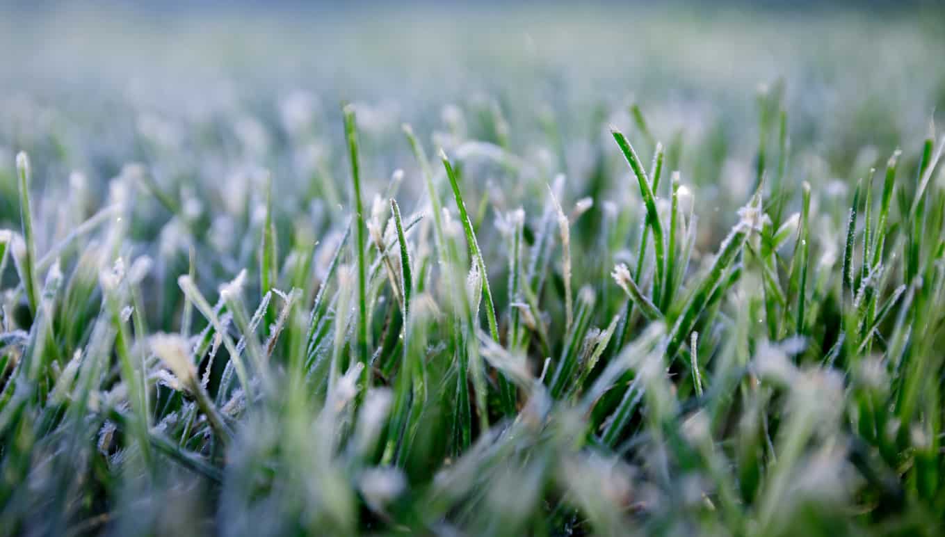 Gras Maaien in de Winter - Tuinmachineonline.nl